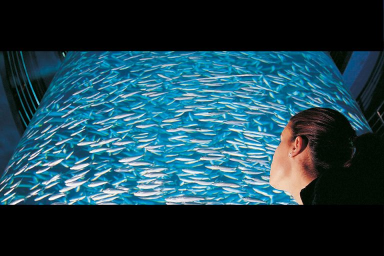 How many animals live in zoos? - zoosmedia