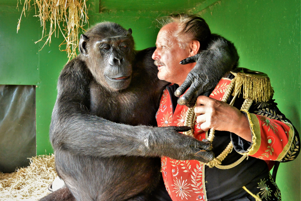 „Jetzt rede ich“: Schimpanse Robby in der literarischen Manege - zoosmedia