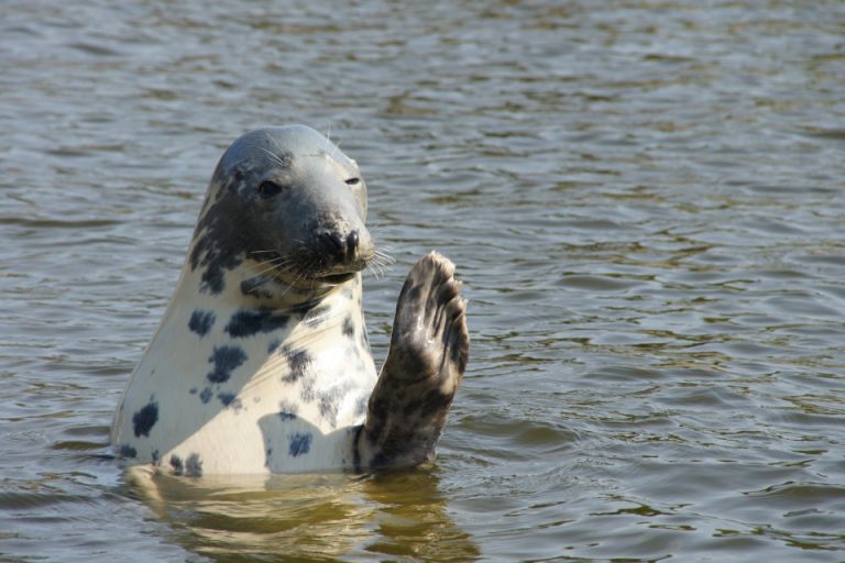 Der Mission Erde Online Shop by myMerch - zoosmedia